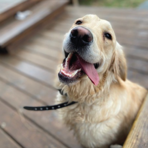 Sales Spotlight - Jodi Yuncker